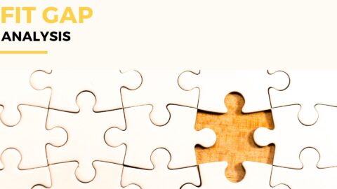 How to Make the Most of Fit Gap Analysis for Your Company